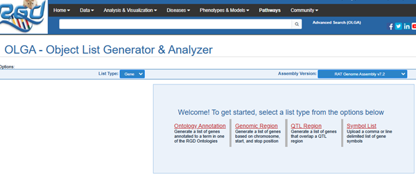 RGD OLGA Example - geneticslab