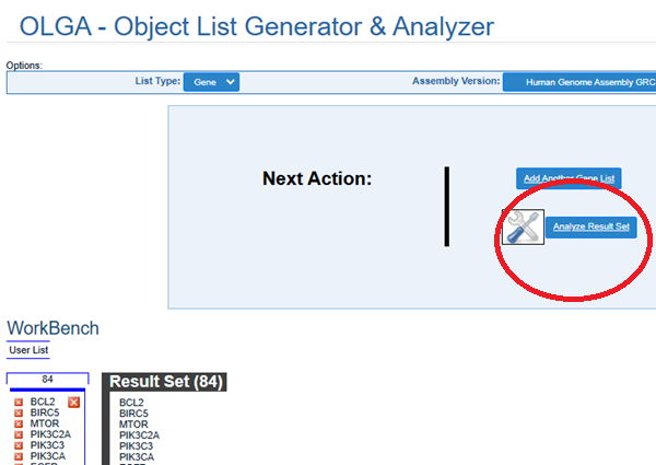 RGD OLGA Example - geneticslab