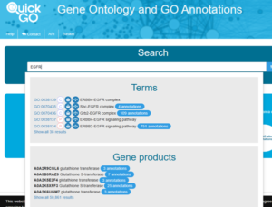 Gene Ontology database example - geneticslab