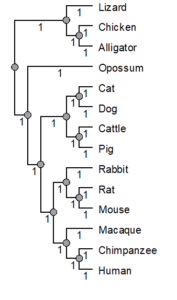 Working with Newick file format - geneticslab