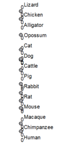 Working with Newick file format - geneticslab