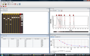 Gel documentation - geneticslab