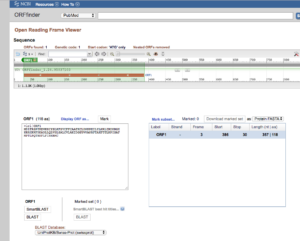 Use of ORF Finder: Practice and Worked example - geneticslab