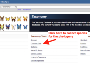 Use of NCBI Taxonomy page to retrieve phylogeny - geneticslab
