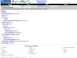 Use of NCBI Taxonomy page to retrieve phylogeny - geneticslab